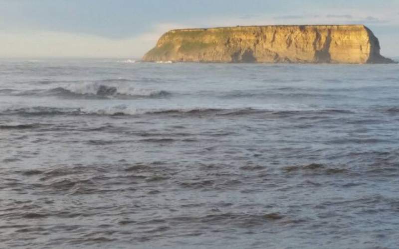 Motunau Beach Camp | Freedom/Basic Camp | New Zealand